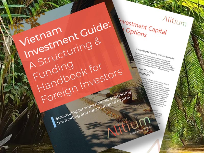Vietnam Investment Guide 2025 | Structuring & Funding Handbook for ...